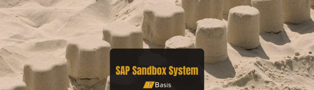 Why You Should Consider an SAP Sandbox System • 1st Basis